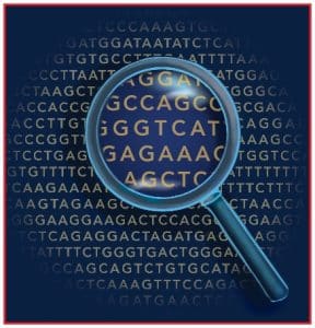 Genetische code | Biologielessen.nl