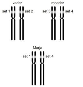 Thema afweer toets - Biologielessen.nl