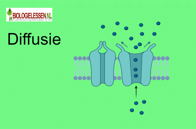 Diffusie (DT) - Biologielessen.nl