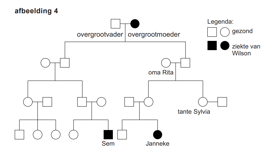 Genetica (SE) | Biologielessen.nl