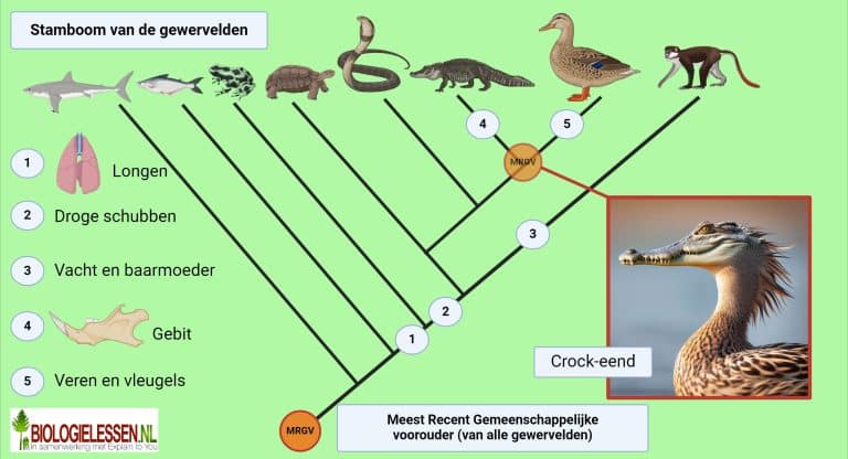 Ontstaan van leven op aarde | Biologielessen.nl
